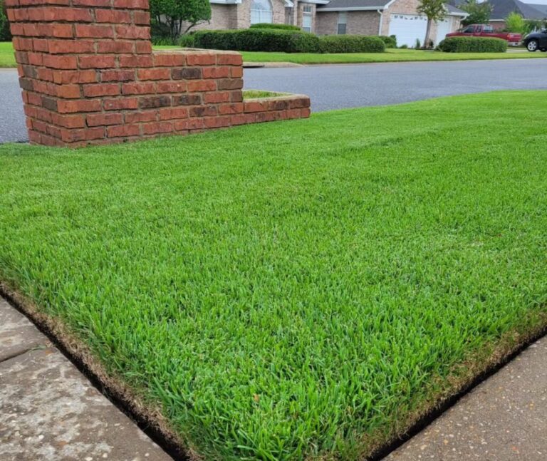 Sunday Lawn Care – Does It Really Work? Read This Before You Buy ...