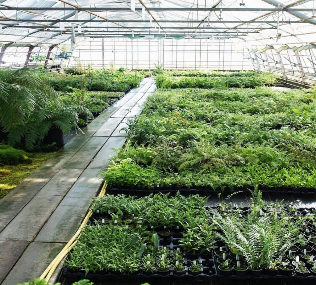 Plant Nursery Insurance: 20 Best Expert Tips For Protection ...