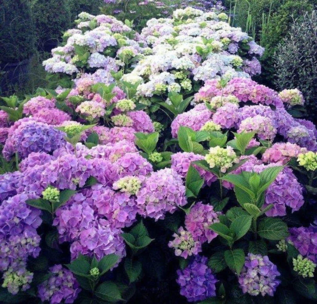 Plant Nursery Insurance: 20 Best Expert Tips For Protection ...