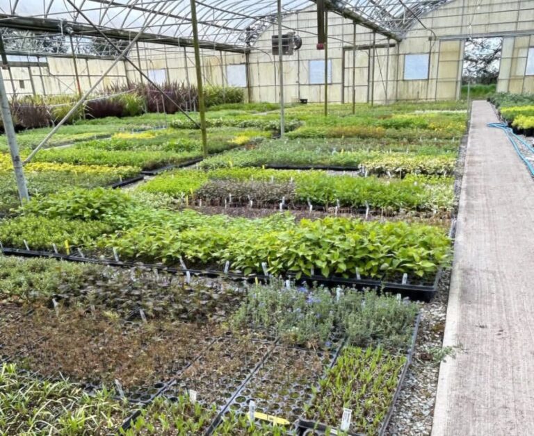 Plant Nursery Insurance: 20 Best Expert Tips For Protection ...