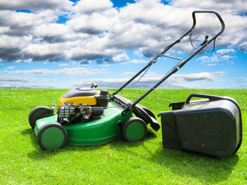 Lawn Care Program: 20 Best Proven Plans For Healthy Lawns - Freeplantscare
